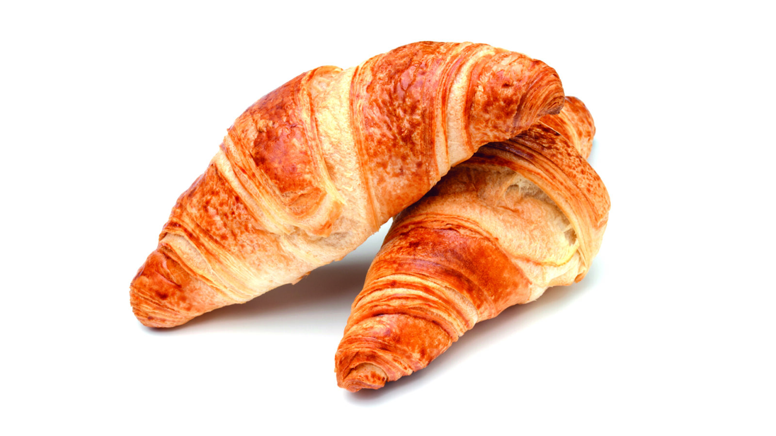 with brush seeder with vibration spray unit target seeder and target spray unit vacuum conveyor ...