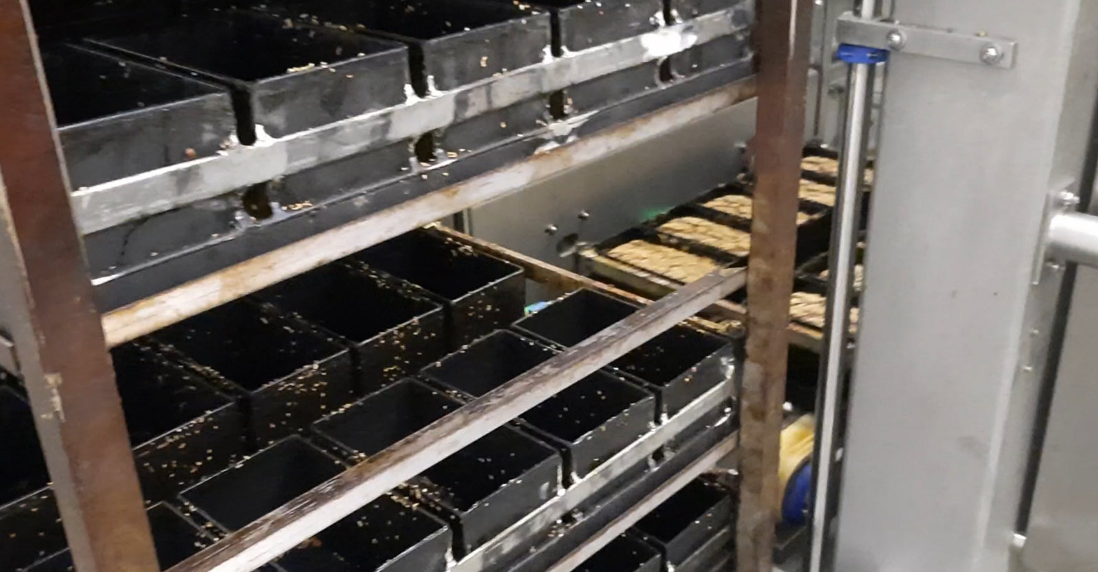 Tray Handling System