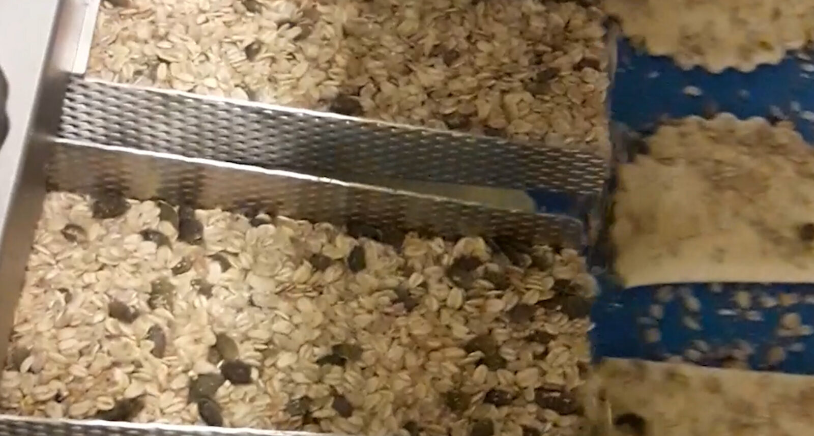 Danmatics Seeder with vibration, has been developed for gentle ...